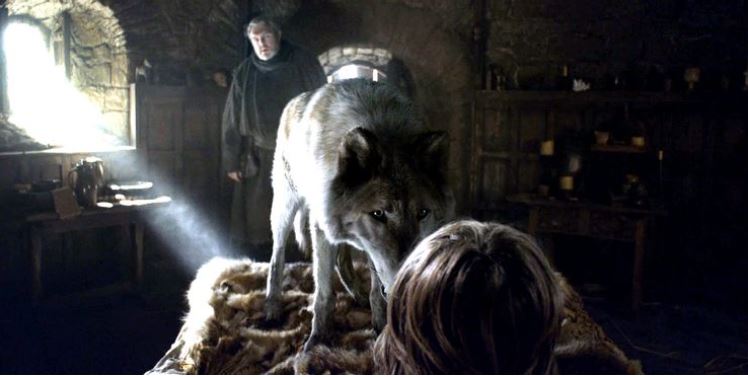 Lobos Gigantes: o destino de cada um deles em Game of Thrones