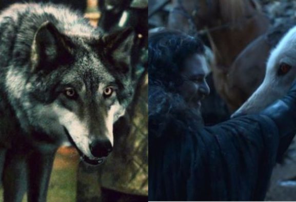 Lobos Gigantes: o destino de cada um deles em Game of Thrones