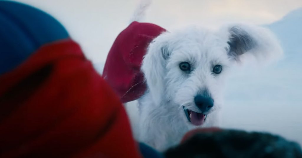 Superman pet friendly: conheça a origem e a evolução de Krypto, o ...